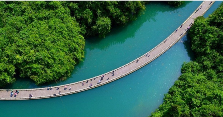 Shiziguan Forest floating bridge in China - Department of Forest and ...