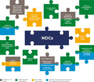 Understanding Nationally Determined Contributions (NDCs) and their ...