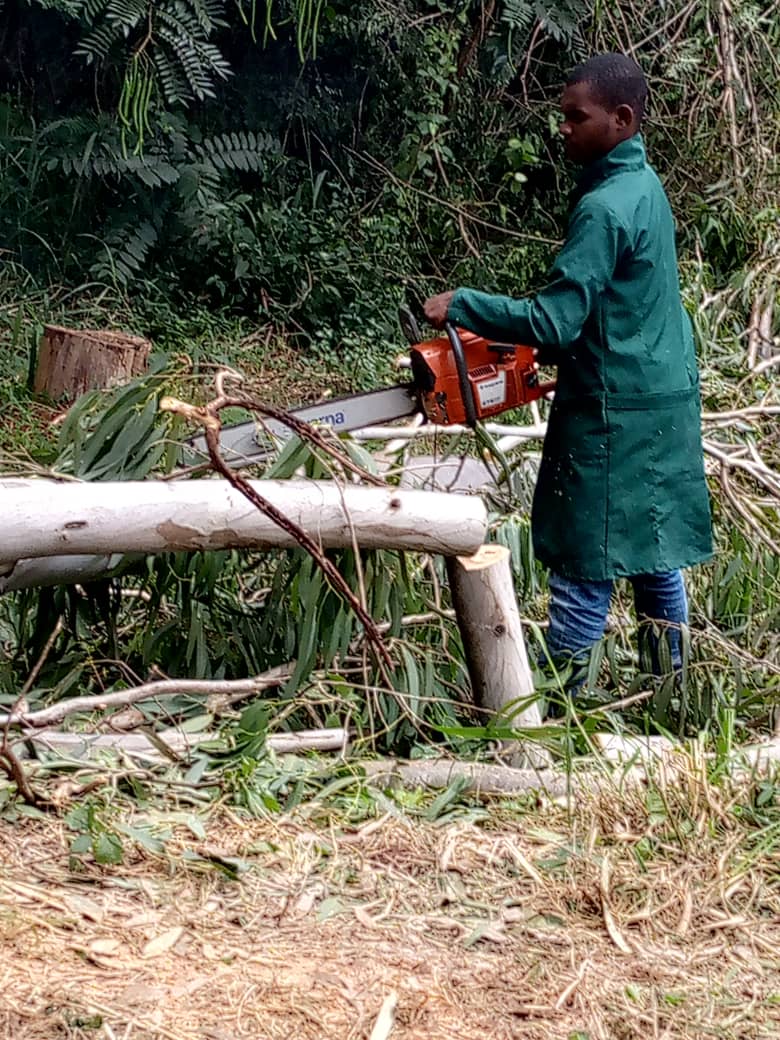 BSc. Forestry students at Sokoine University get Training on Tree ...